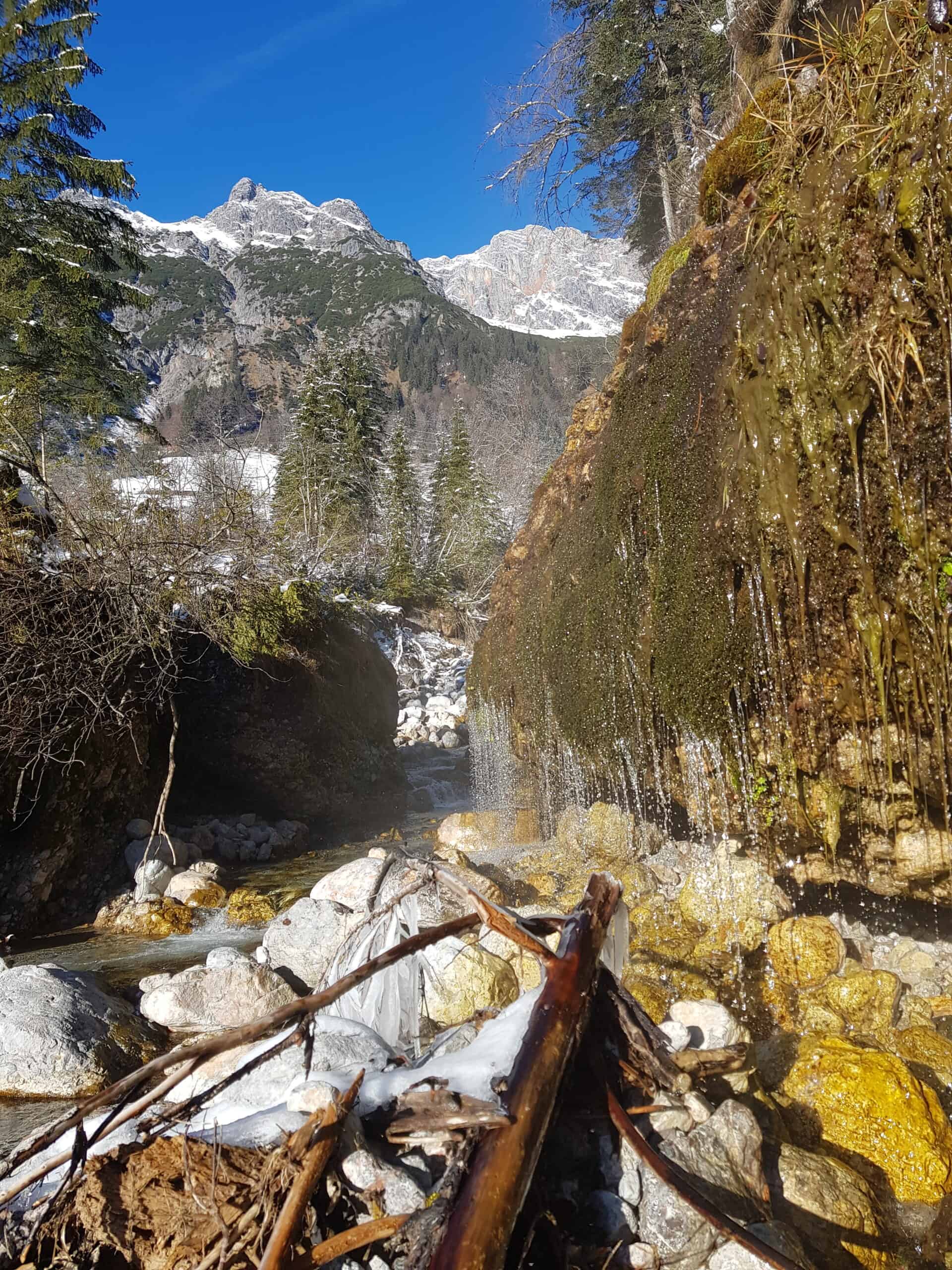 Austria, Hinterthal, Triefen | NatureWantsYouBack